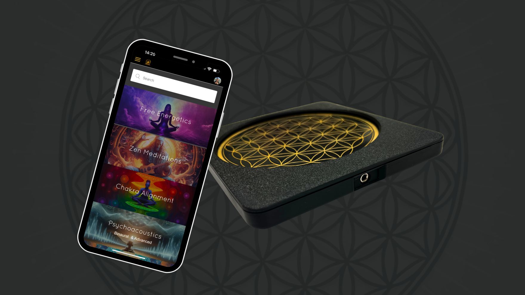 Dual Metatronic Flower of Life Frequency Imprinter Getting Started ...